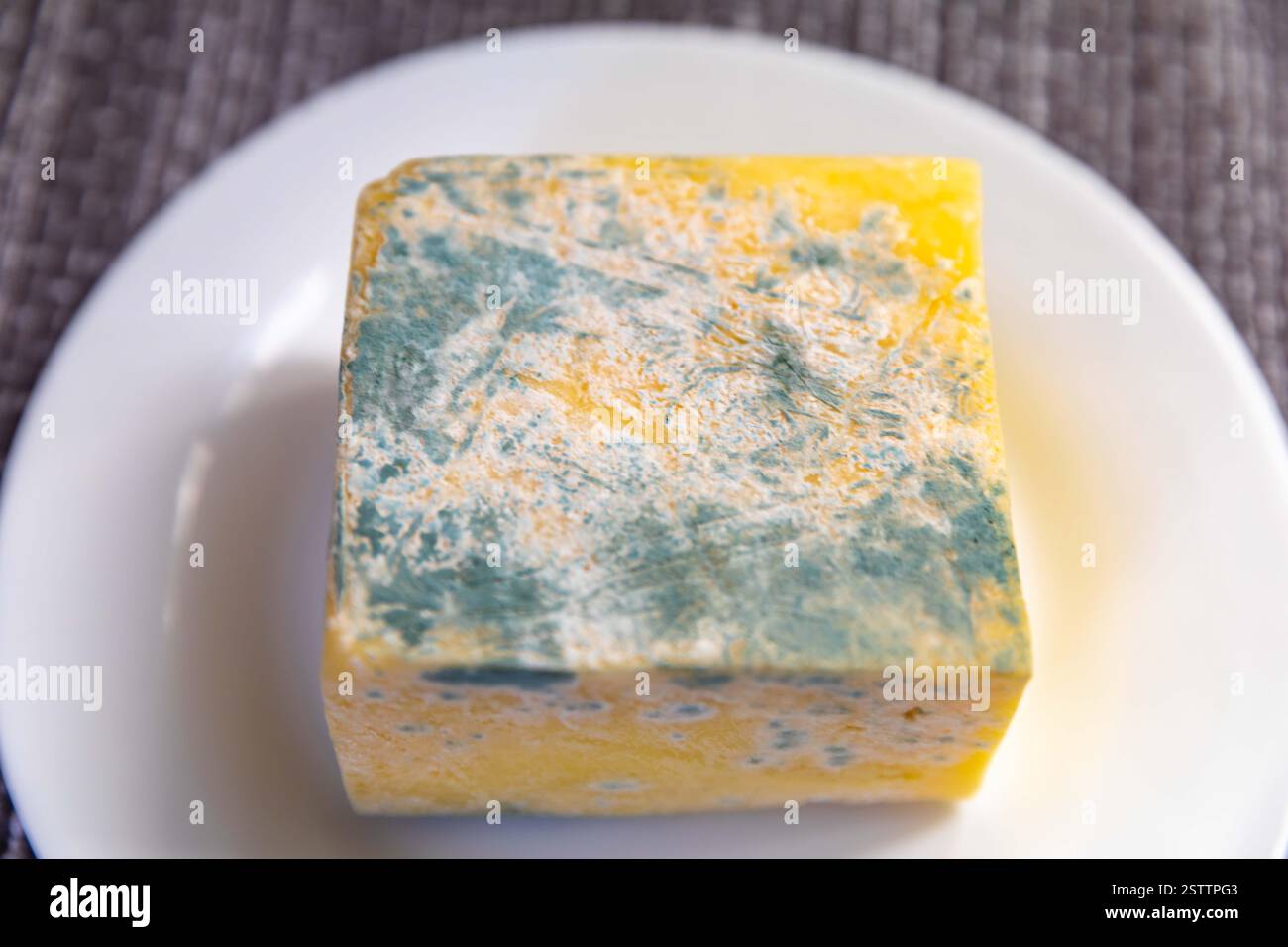 Old, moldy cheese with greenish fungus Stock Photo - Alamy