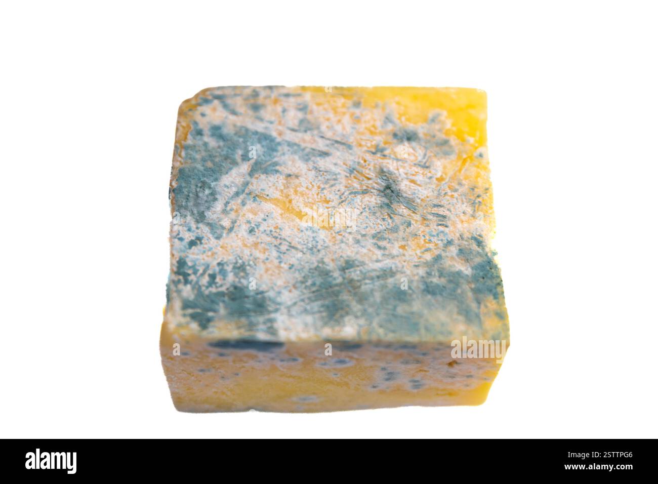 Old, moldy cheese with greenish fungus Stock Photo - Alamy