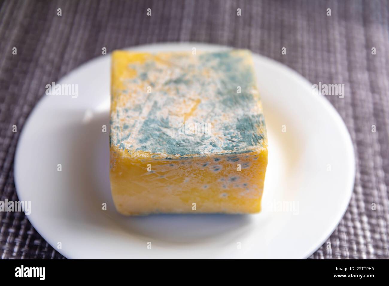 Old, moldy cheese with greenish fungus Stock Photo - Alamy