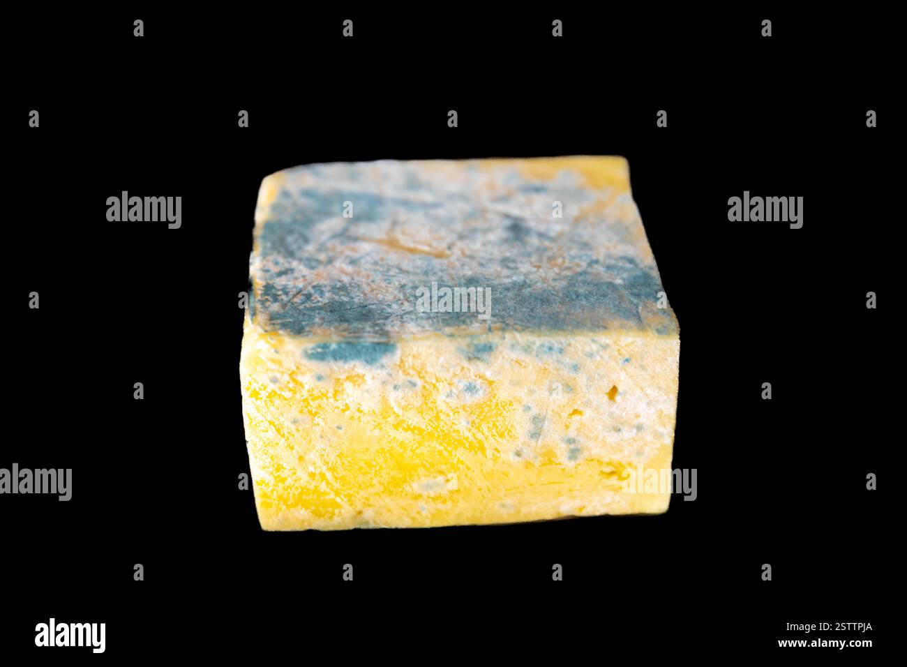 Old, moldy cheese with greenish fungus Stock Photo - Alamy