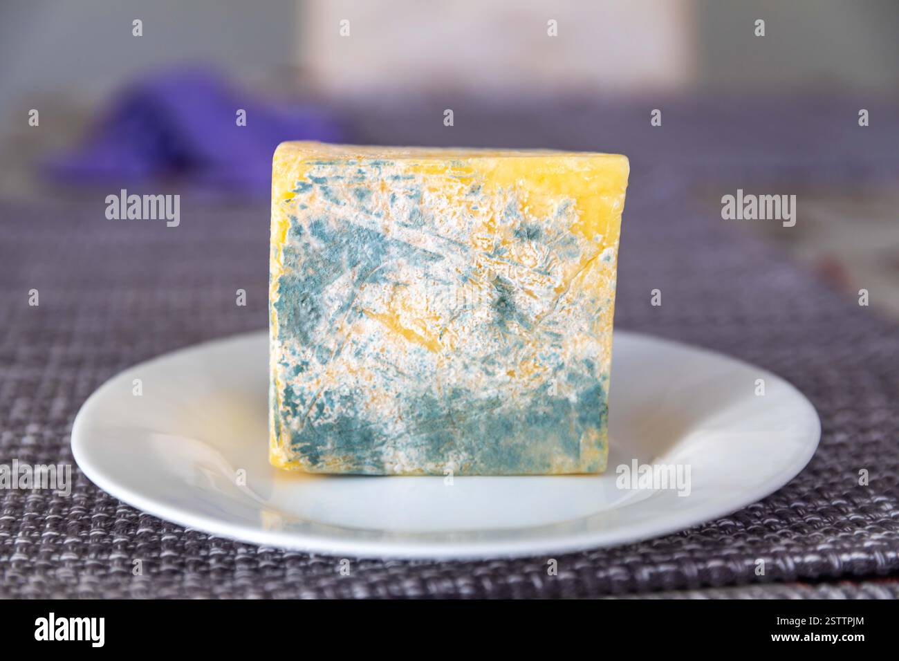 Old, moldy cheese with greenish fungus Stock Photo - Alamy