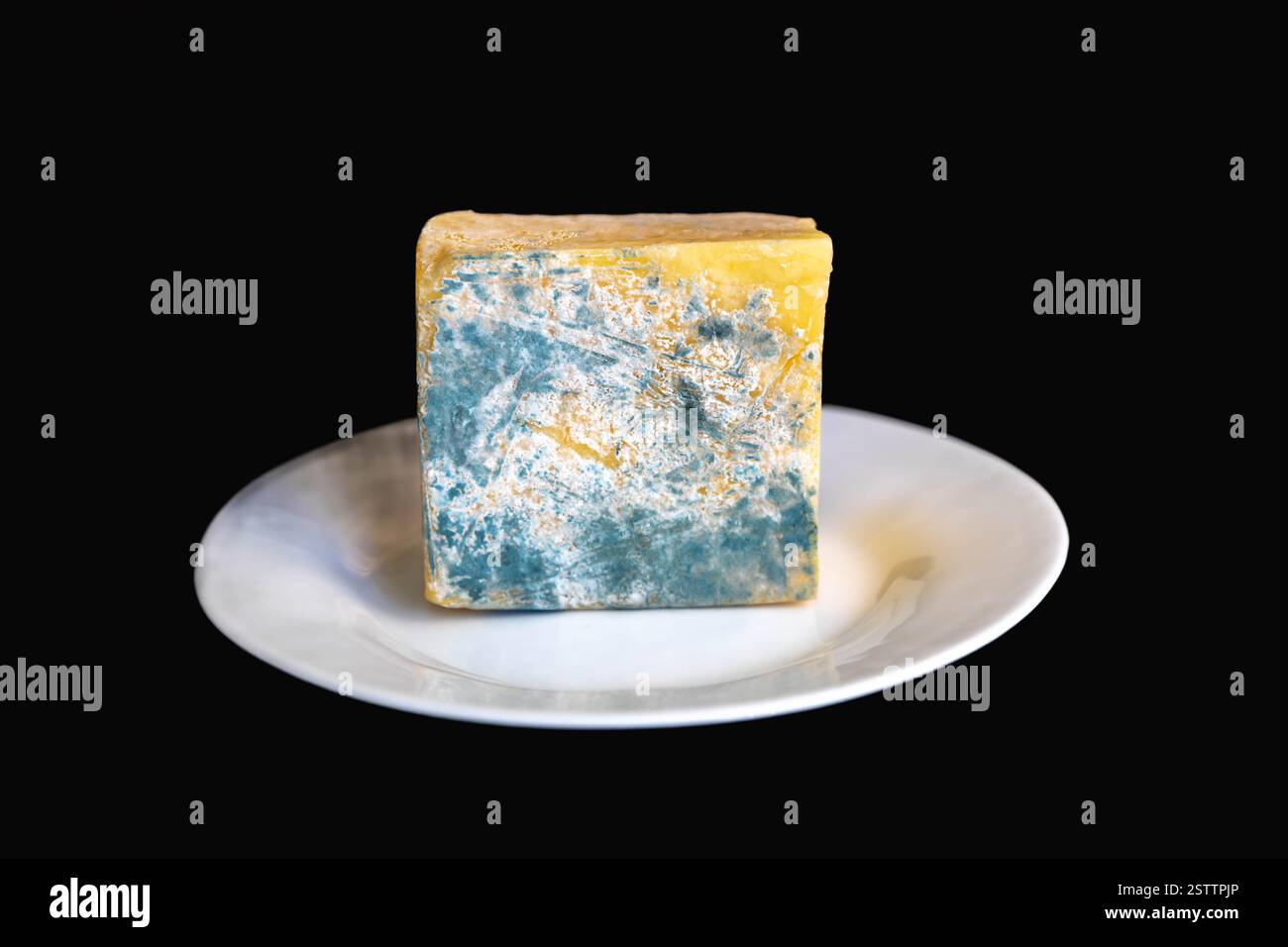 Old, moldy cheese with greenish fungus Stock Photo - Alamy