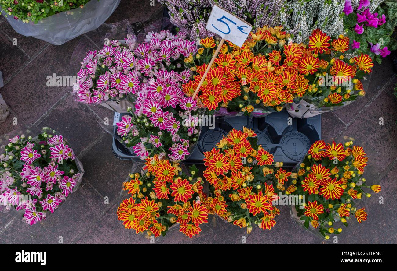 tourist photos around Nice, France and local vicinity Stock Photo - Alamy