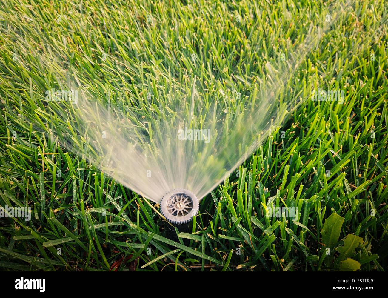 Closeup of irrigation system in garden. Sprinkler is spreading water ...