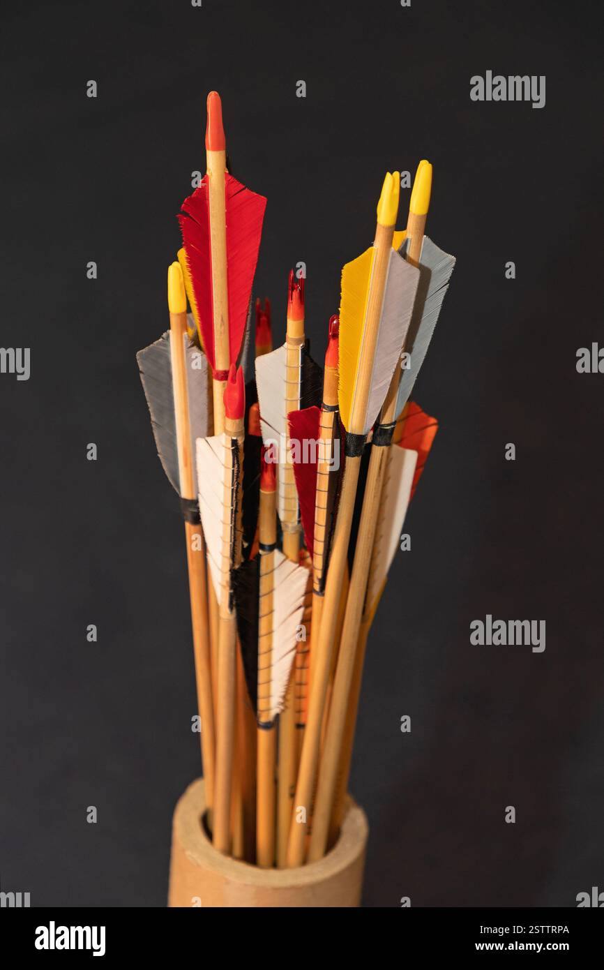 Colourful fin hi-res stock photography and images - Alamy