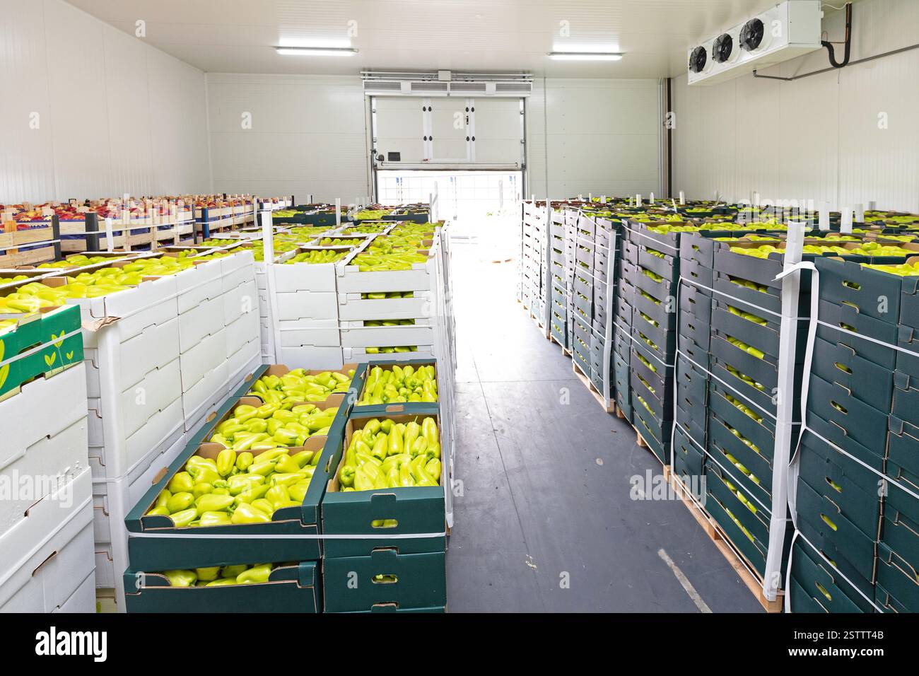 Peppers Apples Pallet Stock Photo - Alamy