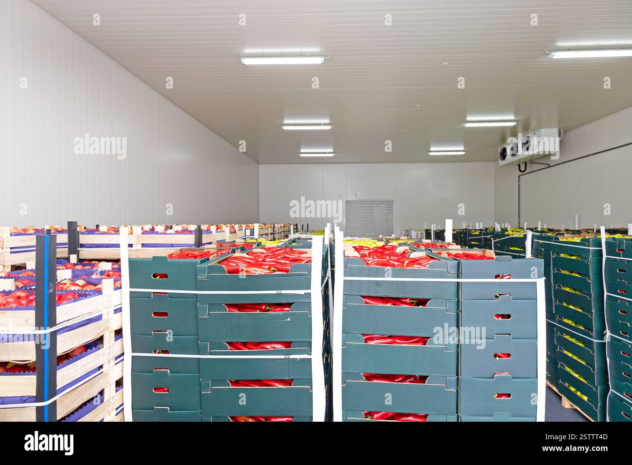 Red Peppers Storage Stock Photo - Alamy