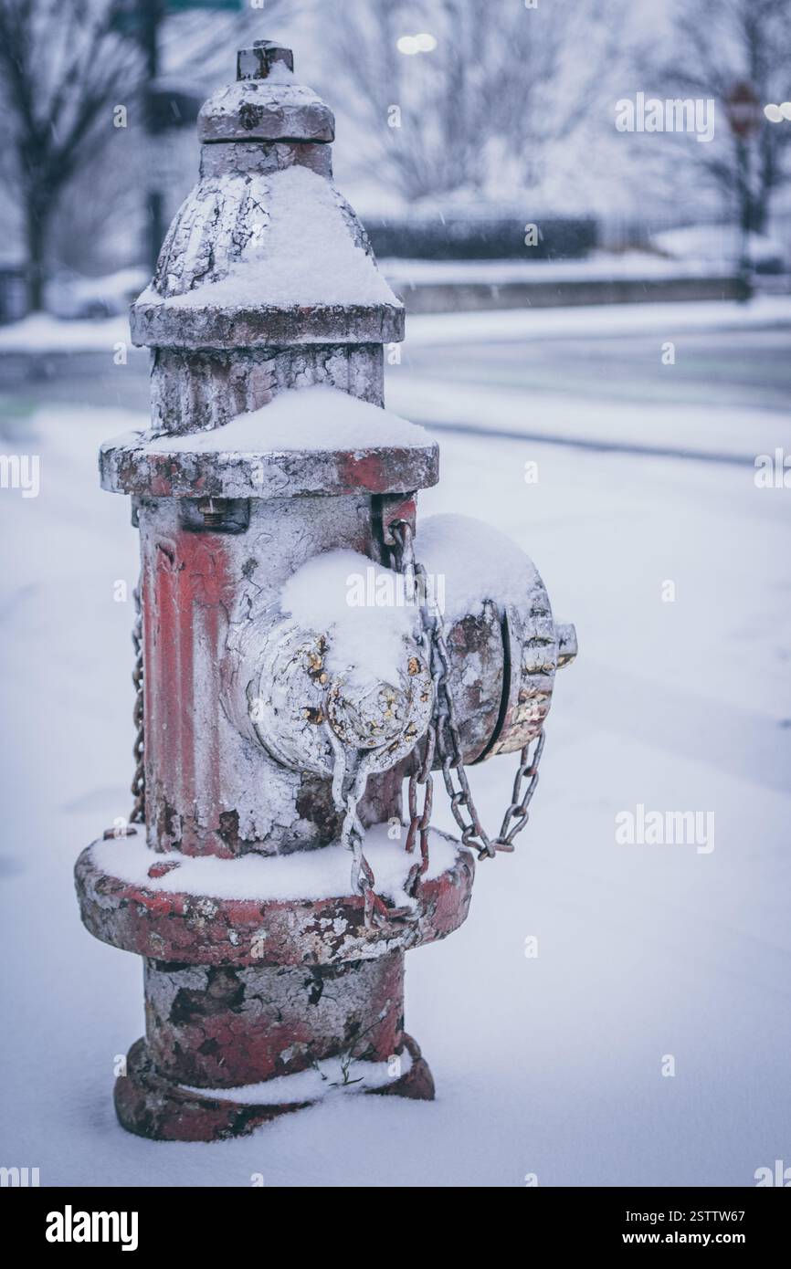 Richmond VA, USA, 19th Feb 2025, Snowfall in the Virginia region ...