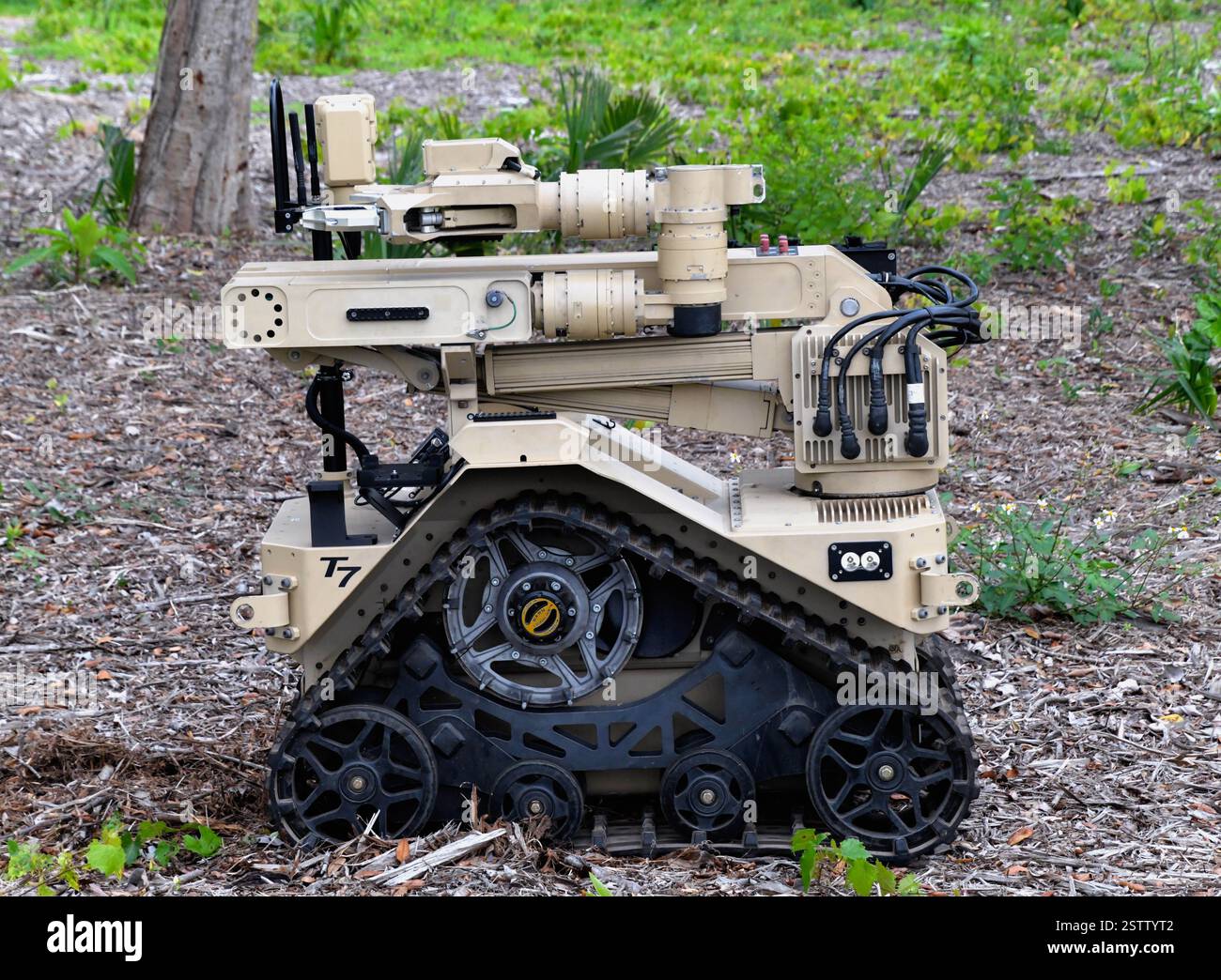 Explosive ordnance disposal members hi-res stock photography and images ...