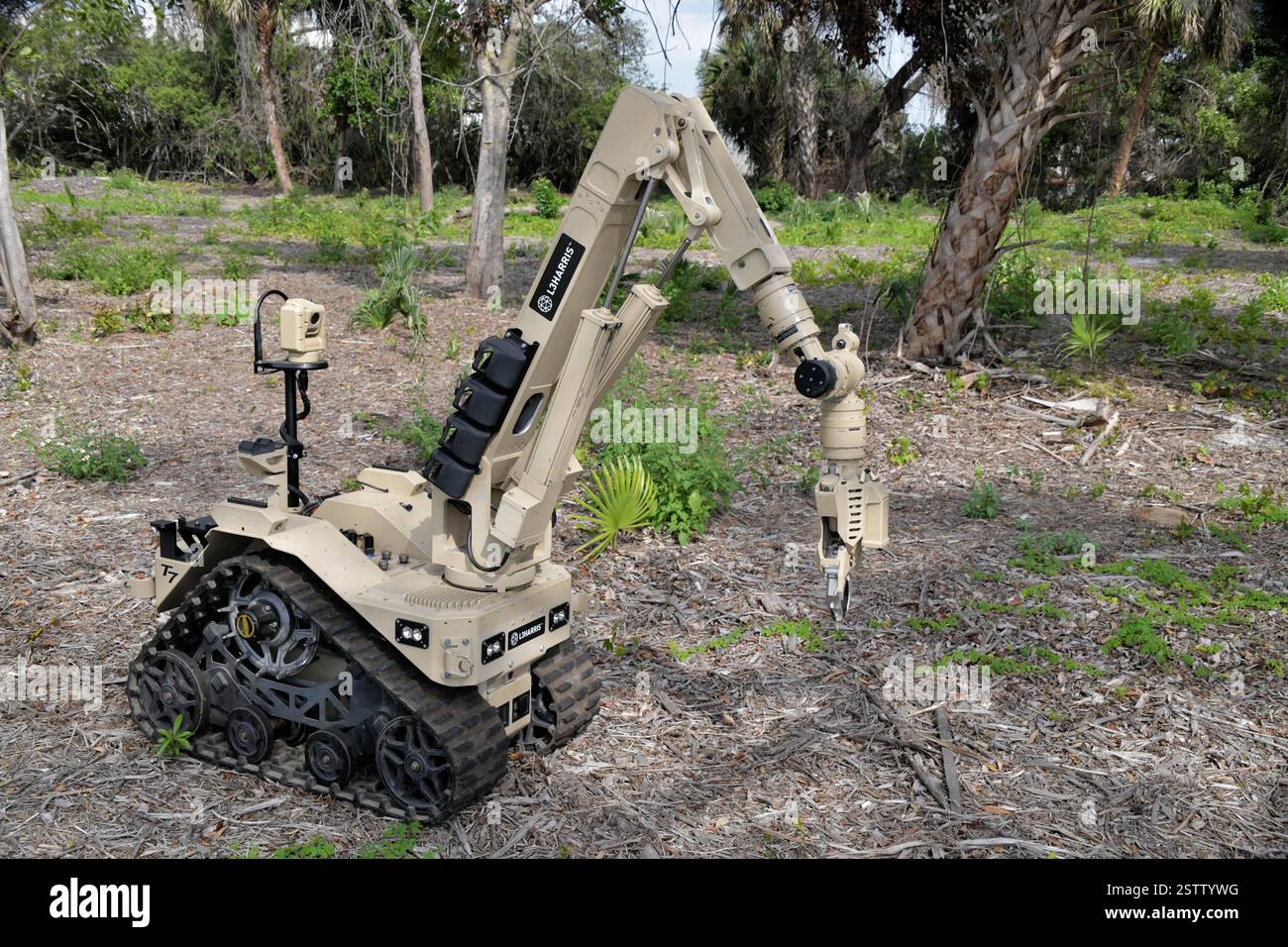Palm Bay, Brevard County, Florida, USA. February 19, 2025. As the only ...