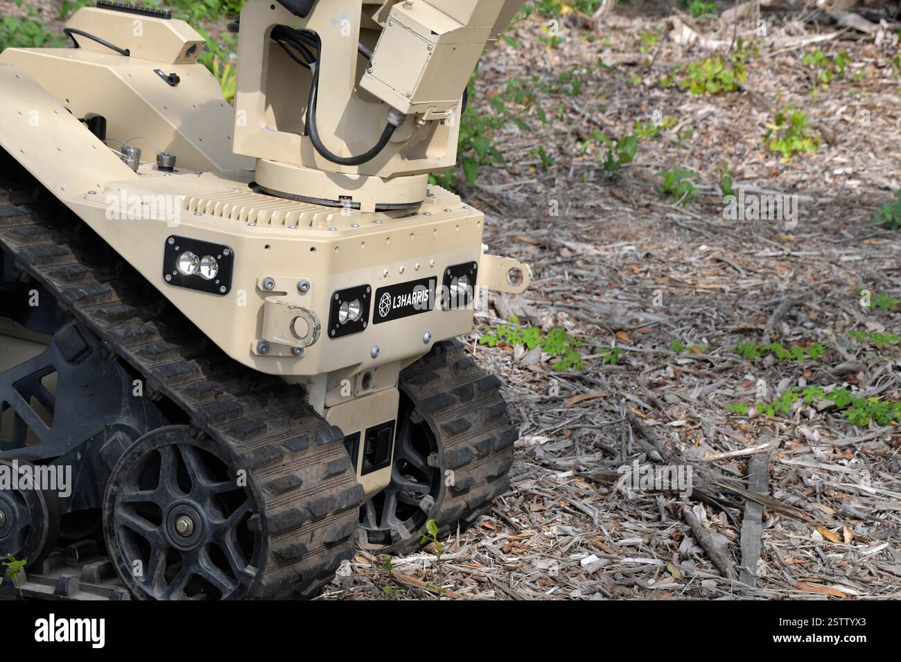 Palm Bay, Brevard County, Florida, USA. February 19, 2025. As the only ...