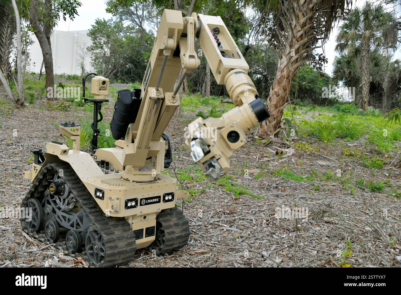 Palm Bay, Brevard County, Florida, USA. February 19, 2025. As the only ...