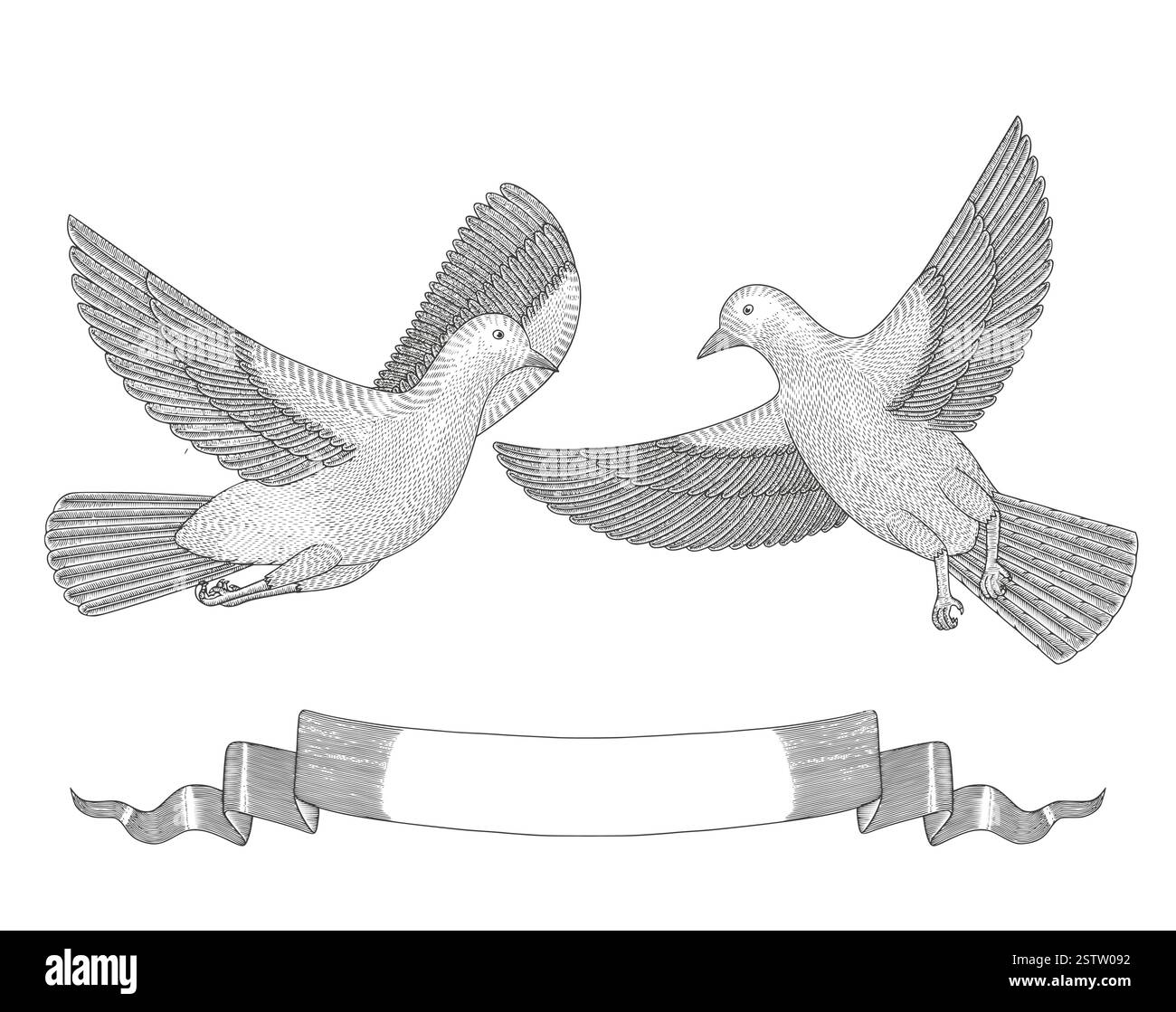 Couple of dove flying in the sky, Vintage engraving drawing style ...