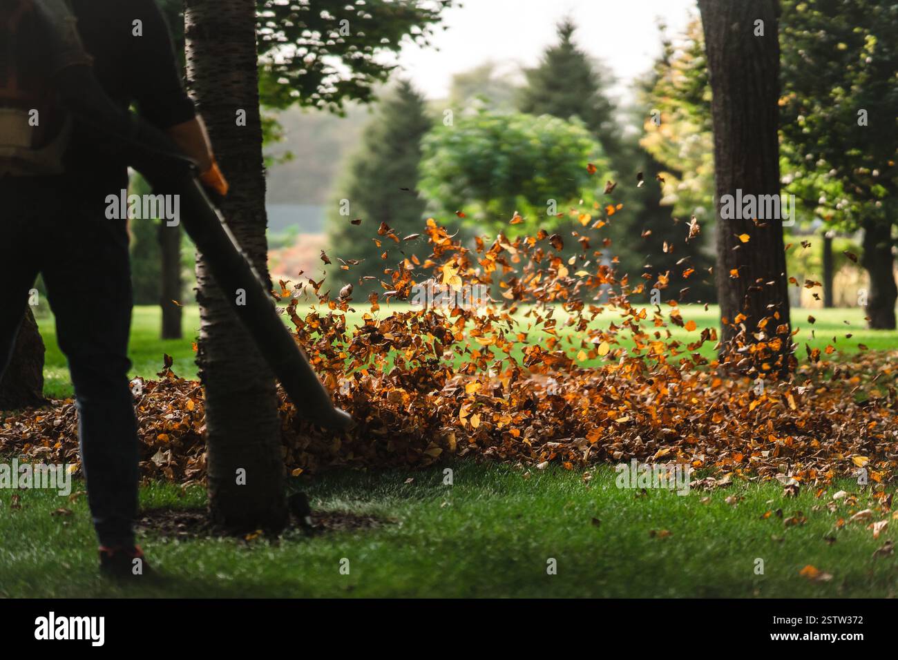 A woman operating a heavy duty leaf blower Stock Photo - Alamy