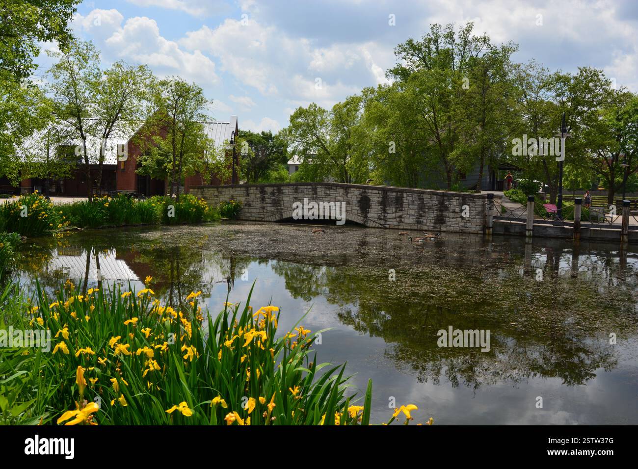 Pond at Greenfield Village Dearborn Michigan Stock Photo - Alamy
