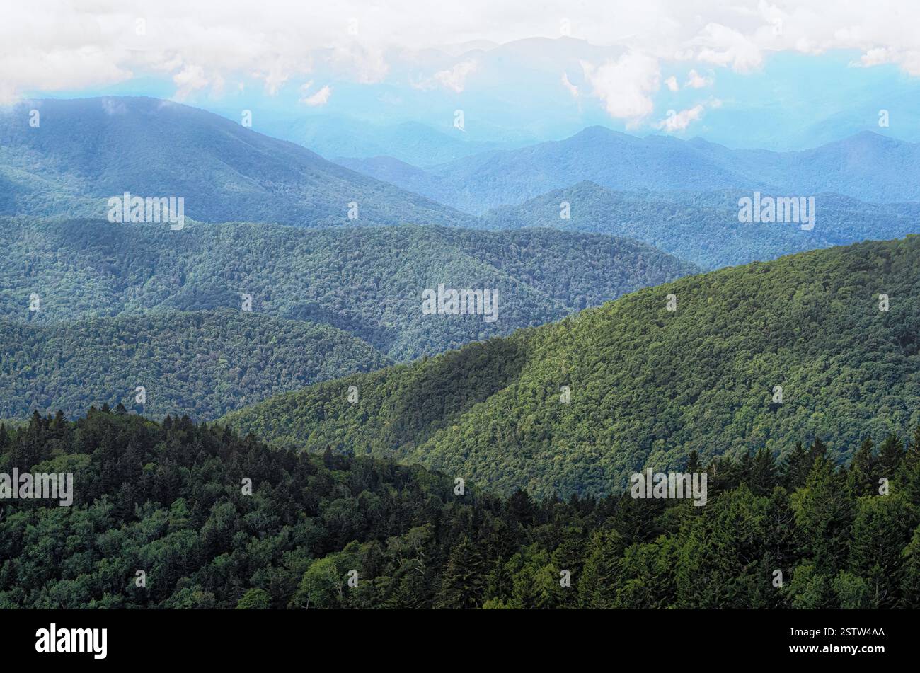 Rolling blue-green mountain ridges stretching into the horizon ...