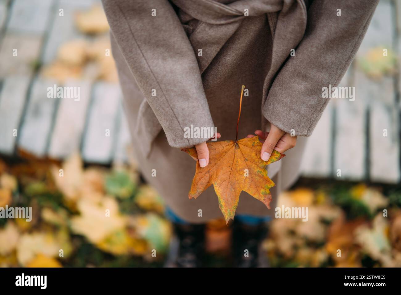 Close in view girl hi-res stock photography and images - Alamy