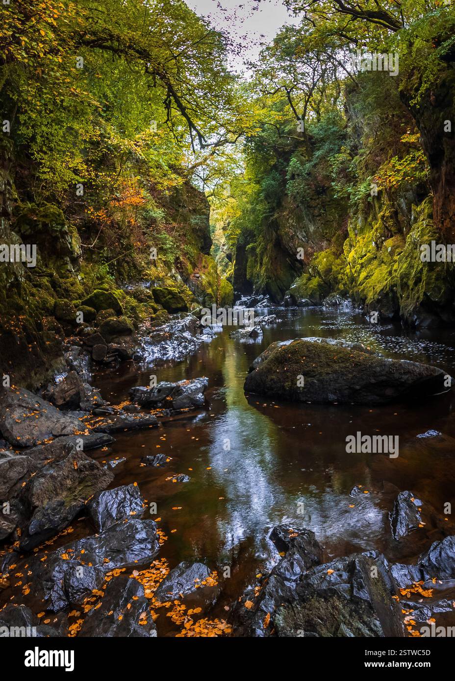 The Fairy Glen and River Conwy, near Betws y coed, Snowdonia National ...