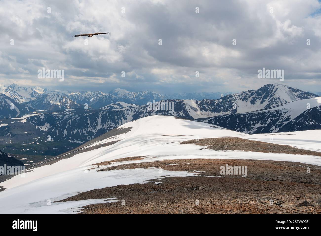 Bright atmospheric scenery on top of mountain ridge above clouds in ...