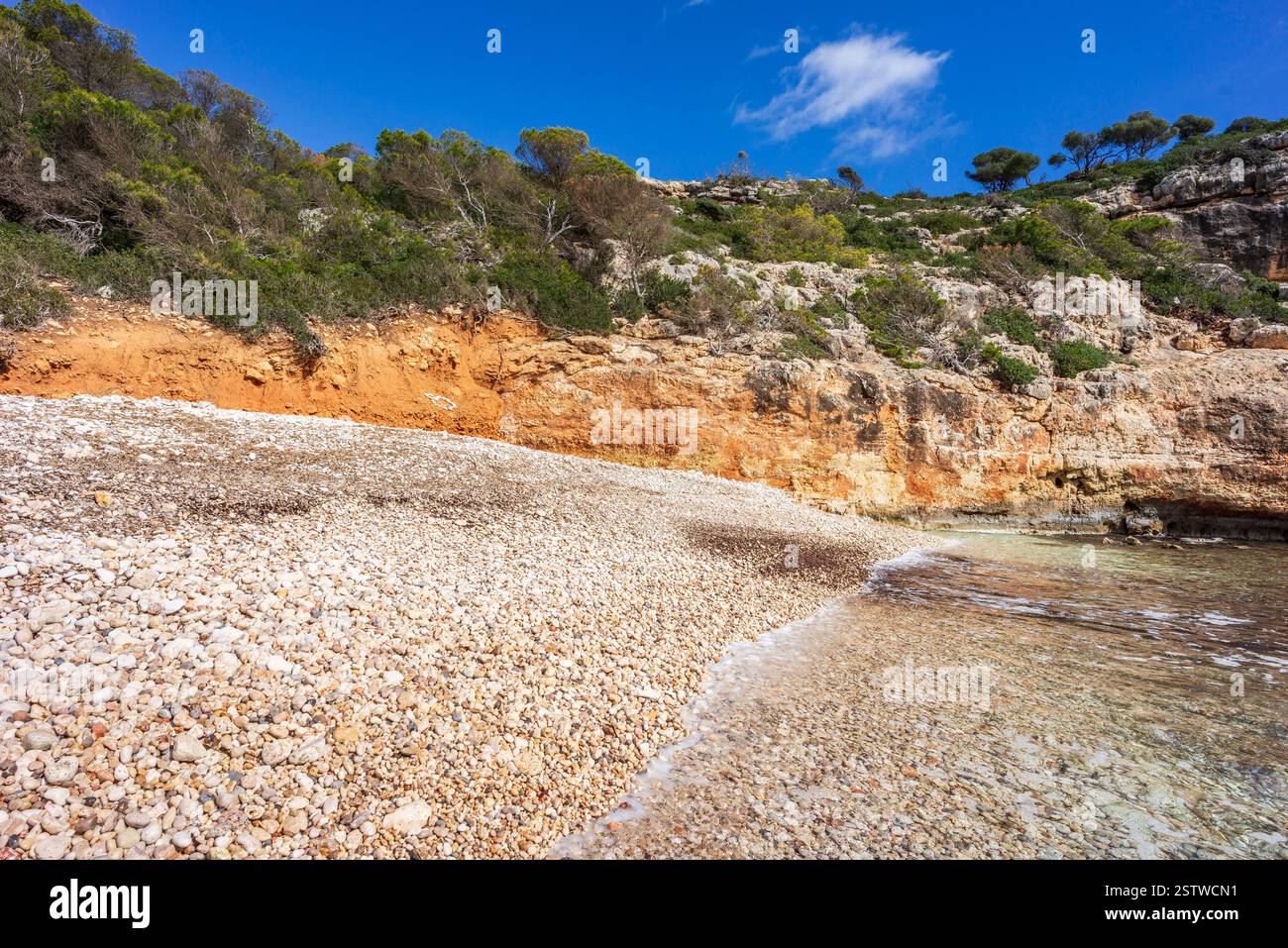 Bota hi-res stock photography and images - Alamy