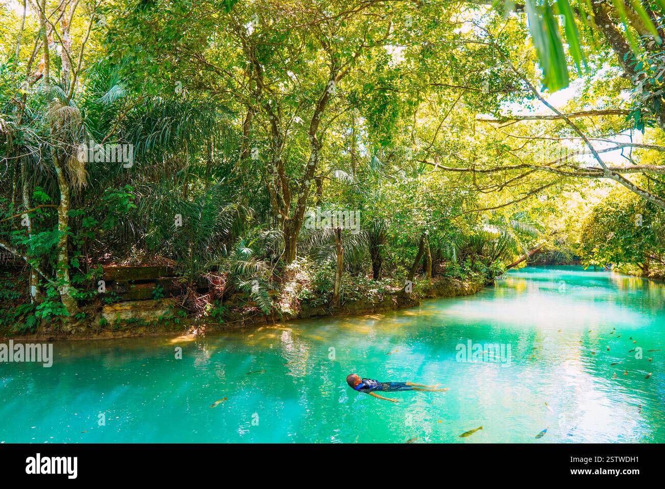 March 21, 2024, Brazil. Tourist swims with fish, in the municipal ...