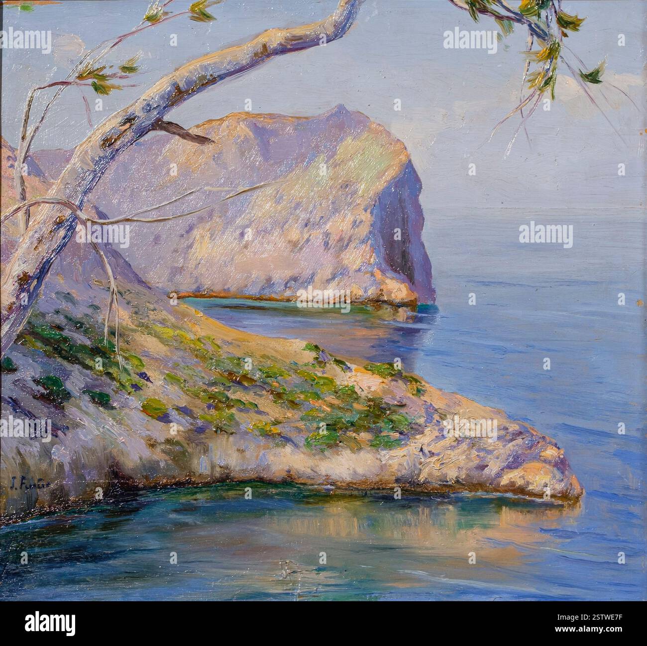 Cavall bernar desde formentor hi-res stock photography and images - Alamy