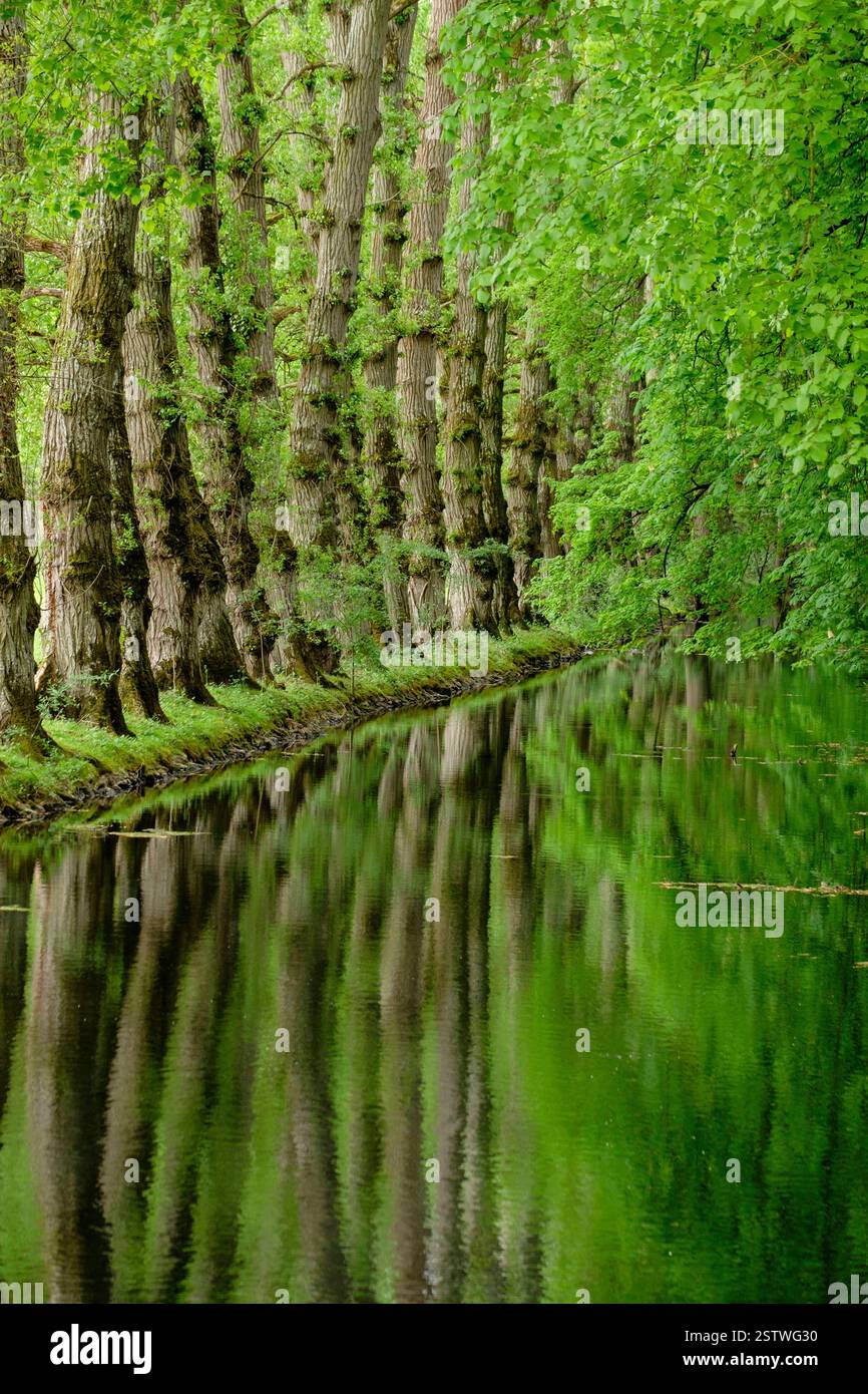 Canal tributary of the river Cher Stock Photo - Alamy
