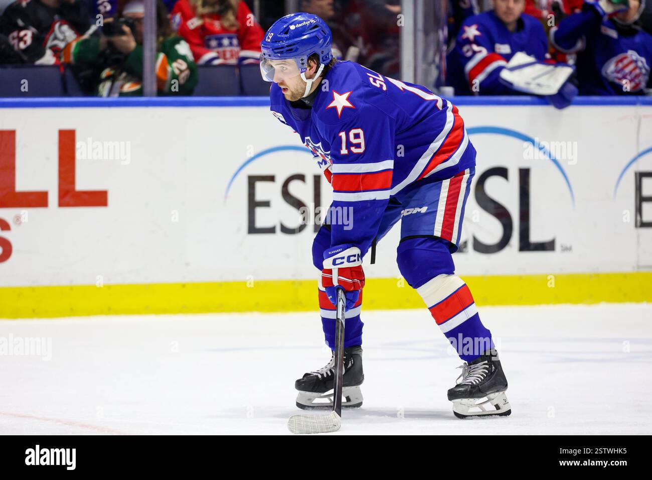 Rochester, New York, USA. 19th Feb, 2025. Rochester Americans forward ...
