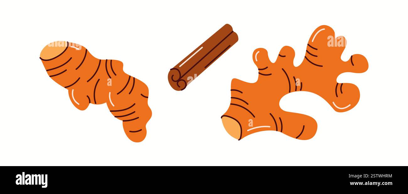 Illustration of fresh ginger root and cinnamon sticks, commonly used in ...