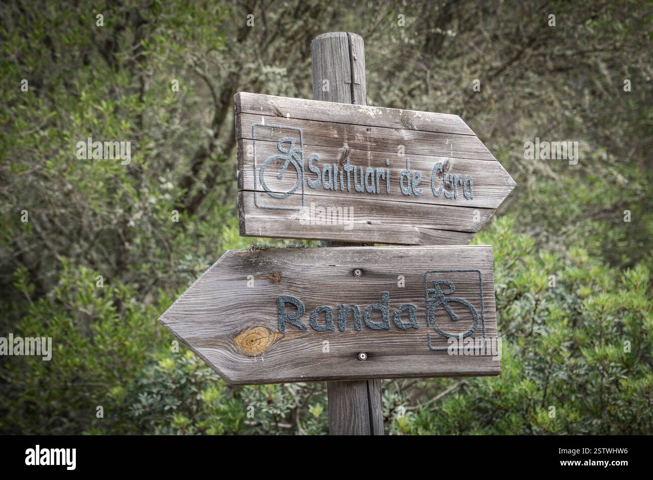 Local wooden sign indicating a cycling route Stock Photo - Alamy