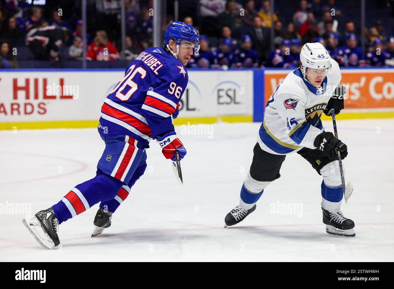 Rochester, New York, USA. 19th Feb, 2025. Rochester Americans forward Nicolas Aube-Kubel (96 ...