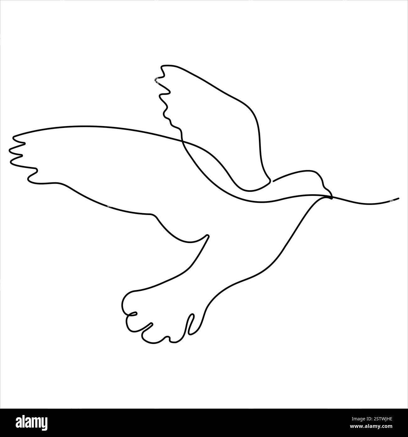Pigeon sketch Black and White Stock Photos & Images - Alamy