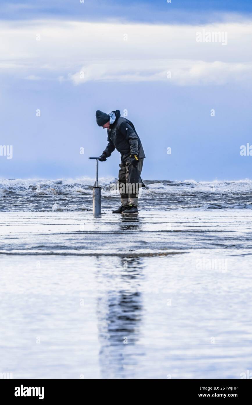 Razor Clam Harvesting using Razor Clam Gun, Copalis Beach, Washington ...