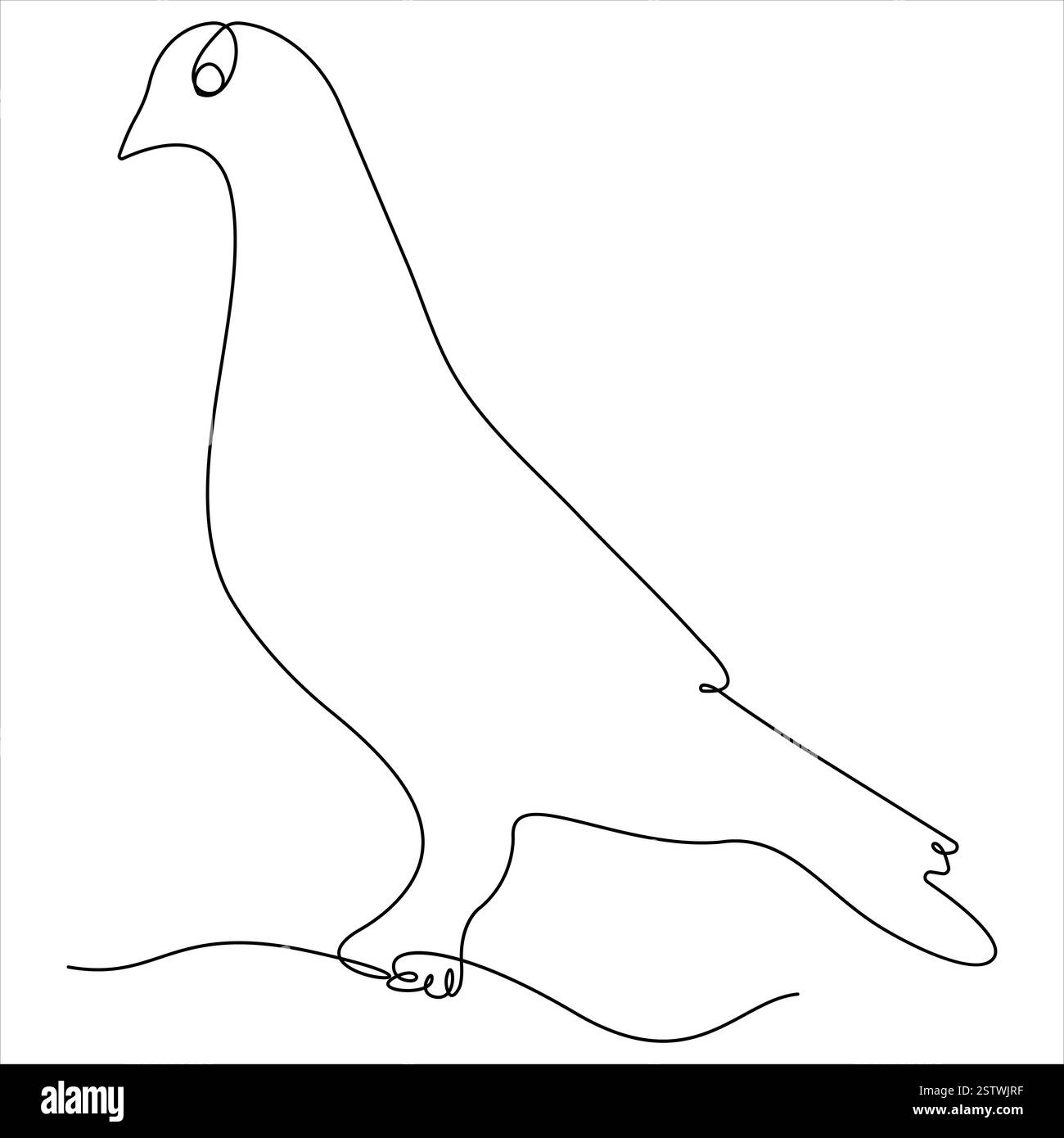 Single line continuous line drawing of bird minimalist bird pigeon outline design illustration ...