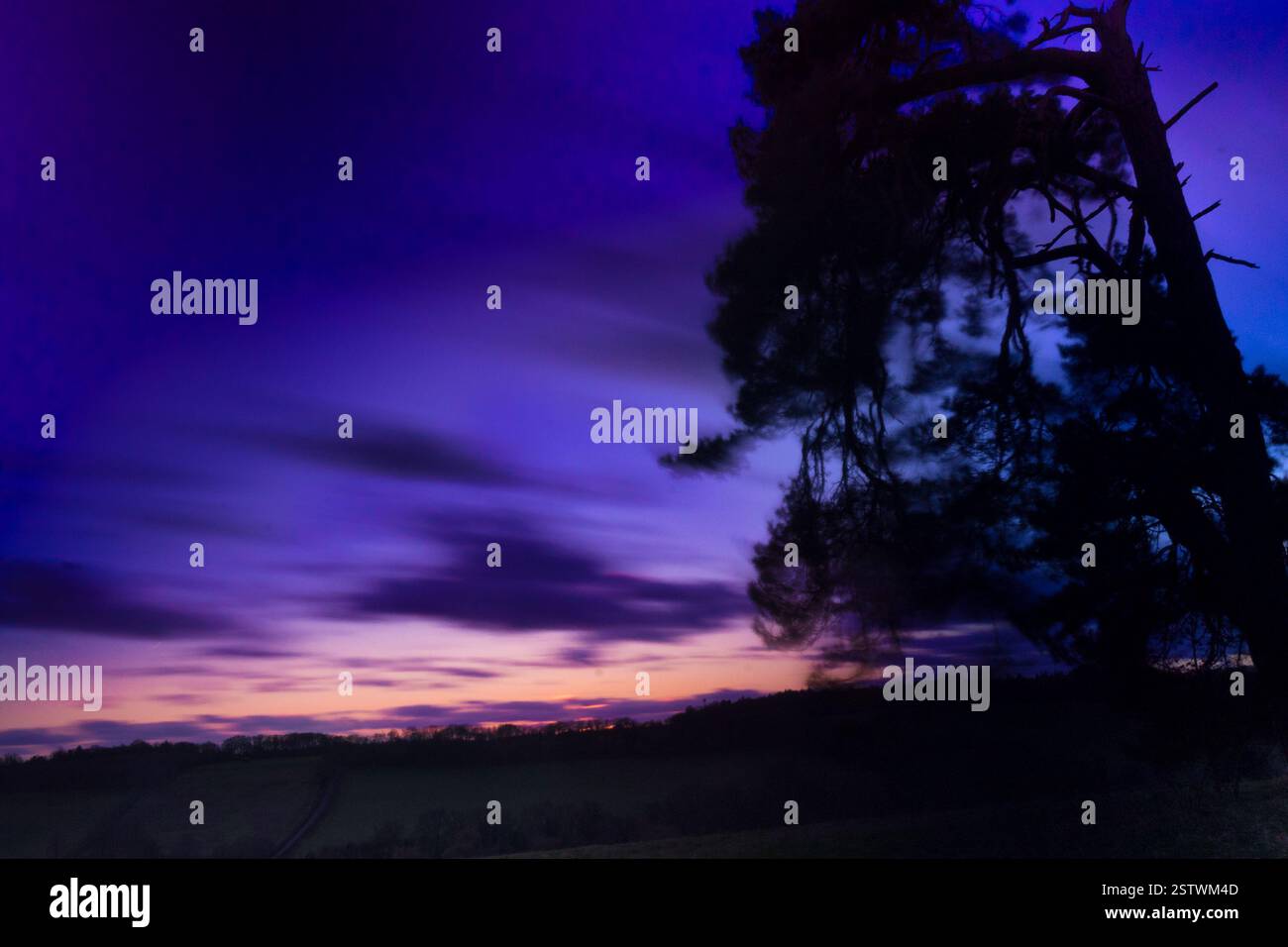 Long exposure sunset dark foreground with silhouetted trees and ...