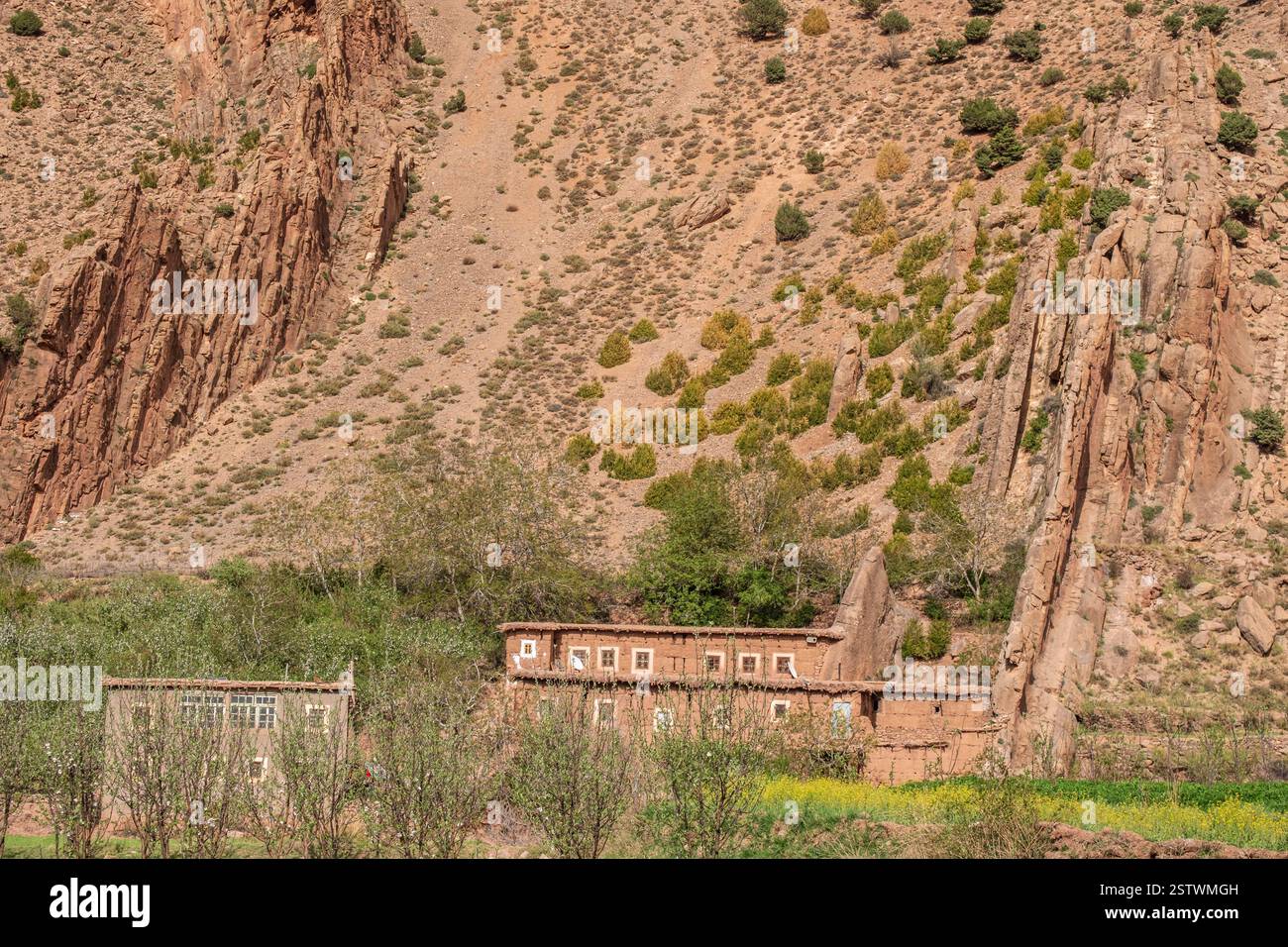 Ait Said, MGoun trek, Bougames valley, Atlas mountain range, morocco ...