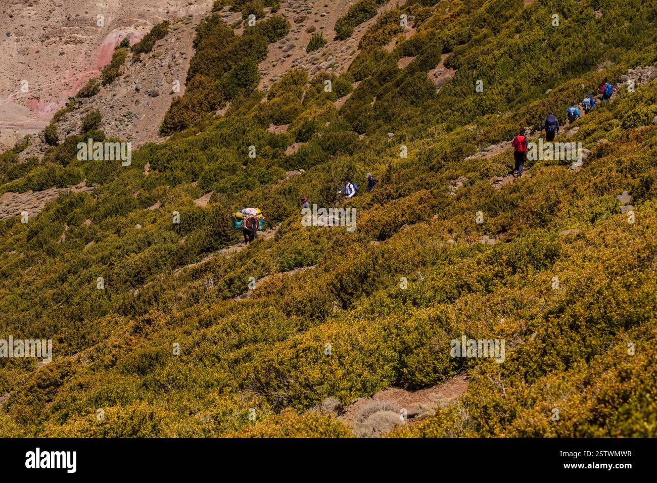 Trail to Azib Ikkis via Timaratine Stock Photo - Alamy