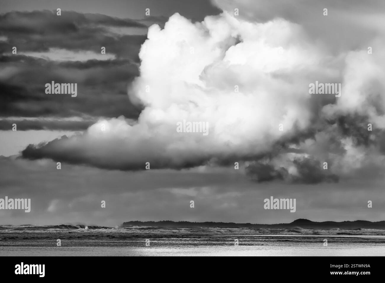 Landscape with wildlife usa Black and White Stock Photos & Images - Alamy