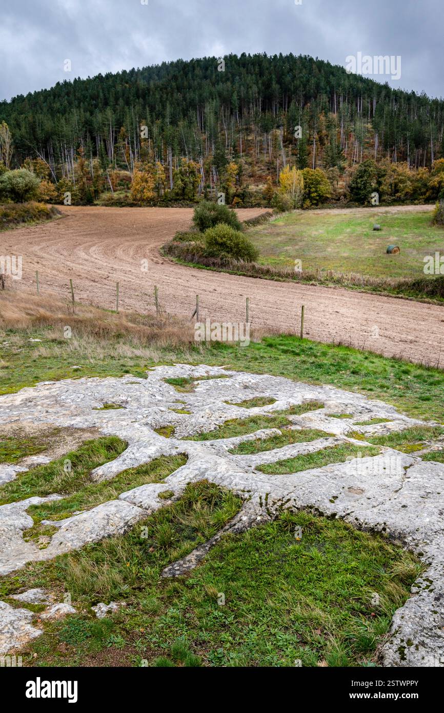 Medieval anthropomorphic tombs Stock Photo - Alamy