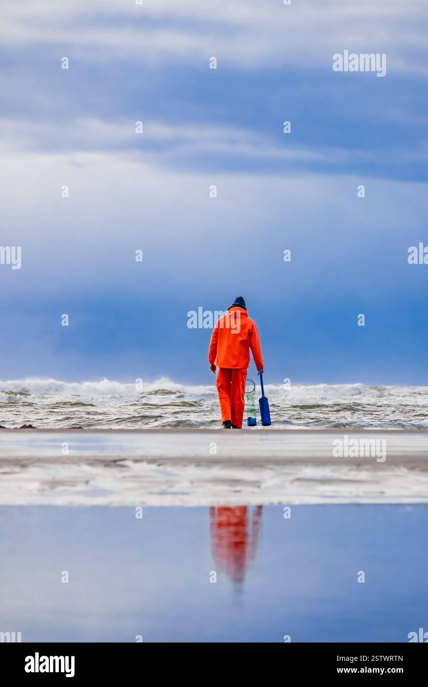 Razor Clam Harvesting using Razor Clam Gun, Copalis Beach, Washington ...