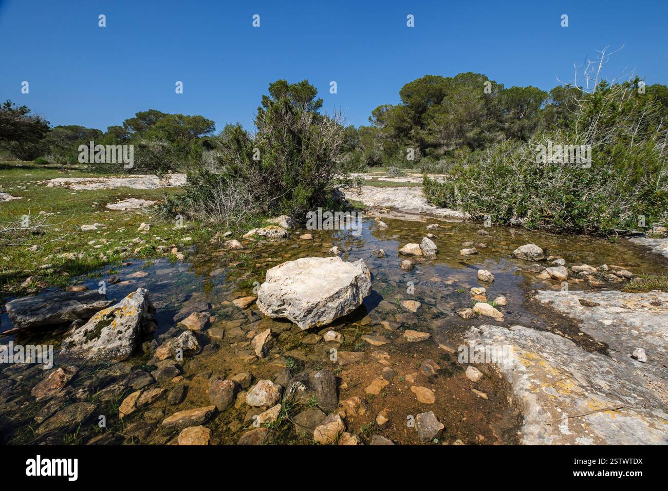 Natural water storage pool Stock Photo - Alamy