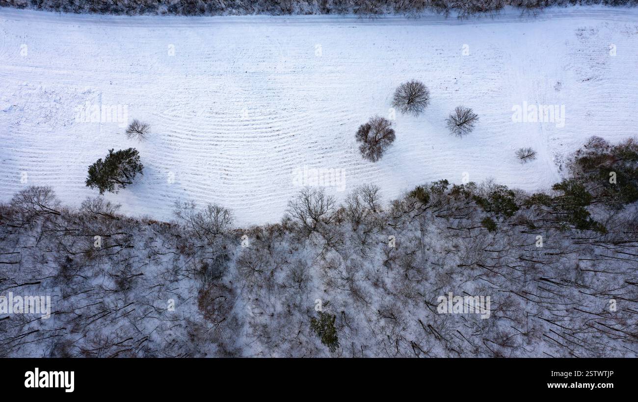 An aerial shot of evergreen trees covered in snow in a beautiful winter ...
