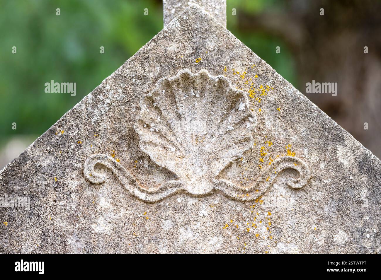 Scallop shell symbol Stock Photo - Alamy