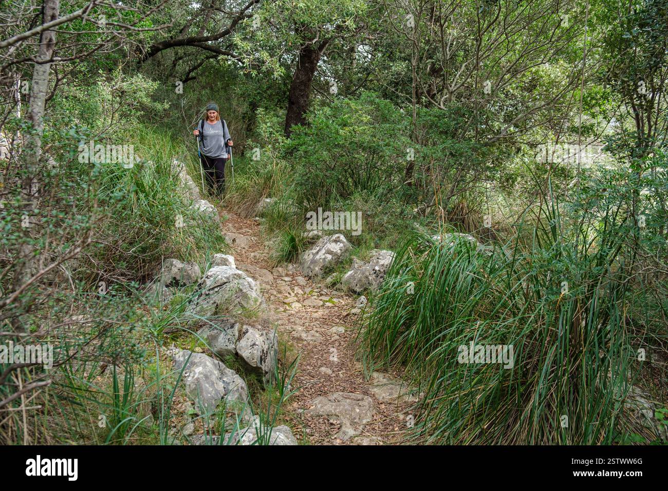 Menorca walking route hi-res stock photography and images - Alamy