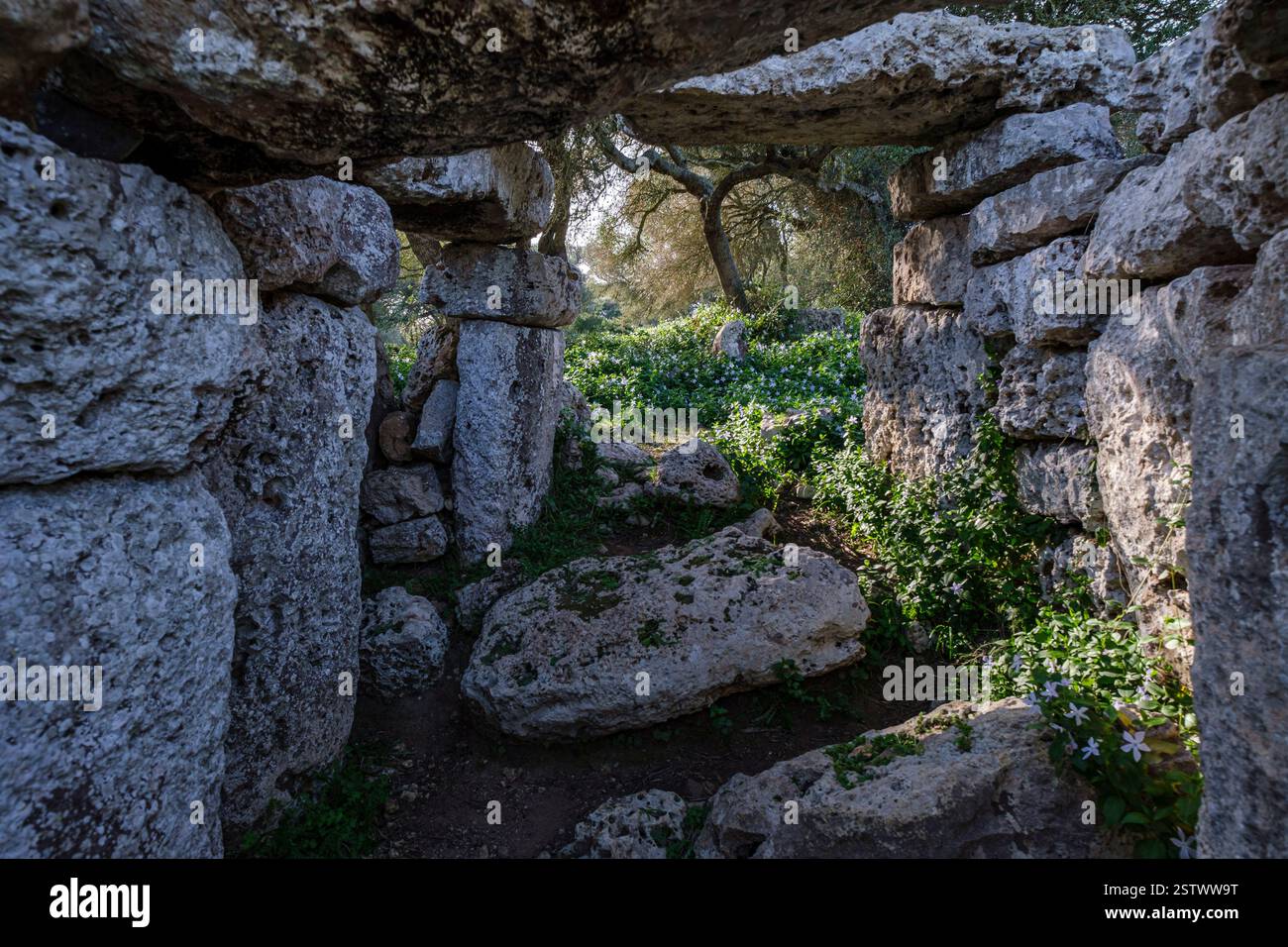 TalatÃ­ de Dalt prehistoric site Stock Photo - Alamy