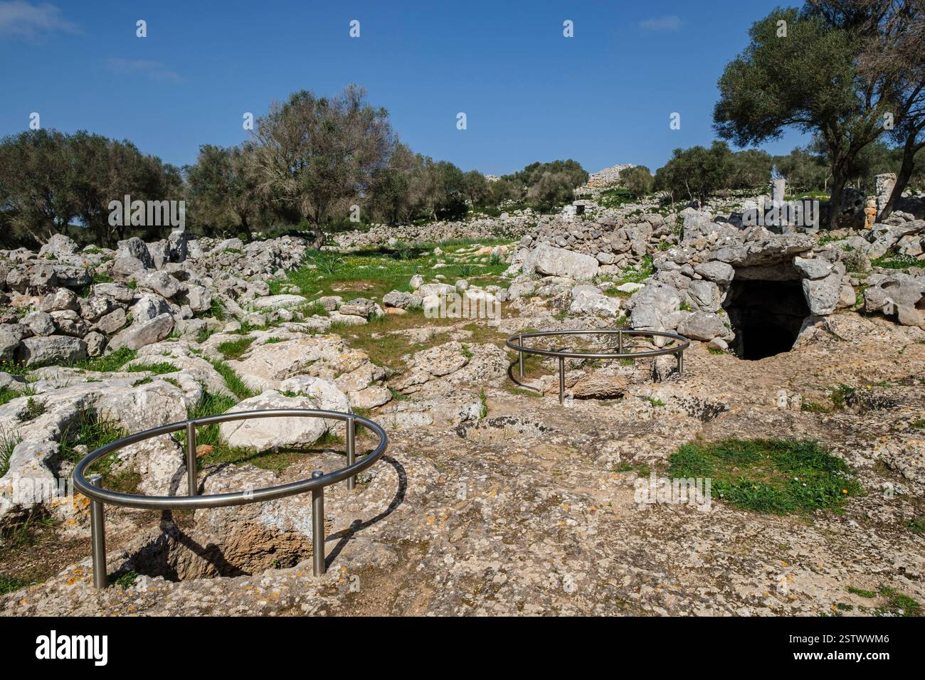 Rainwater collection system Stock Photo - Alamy