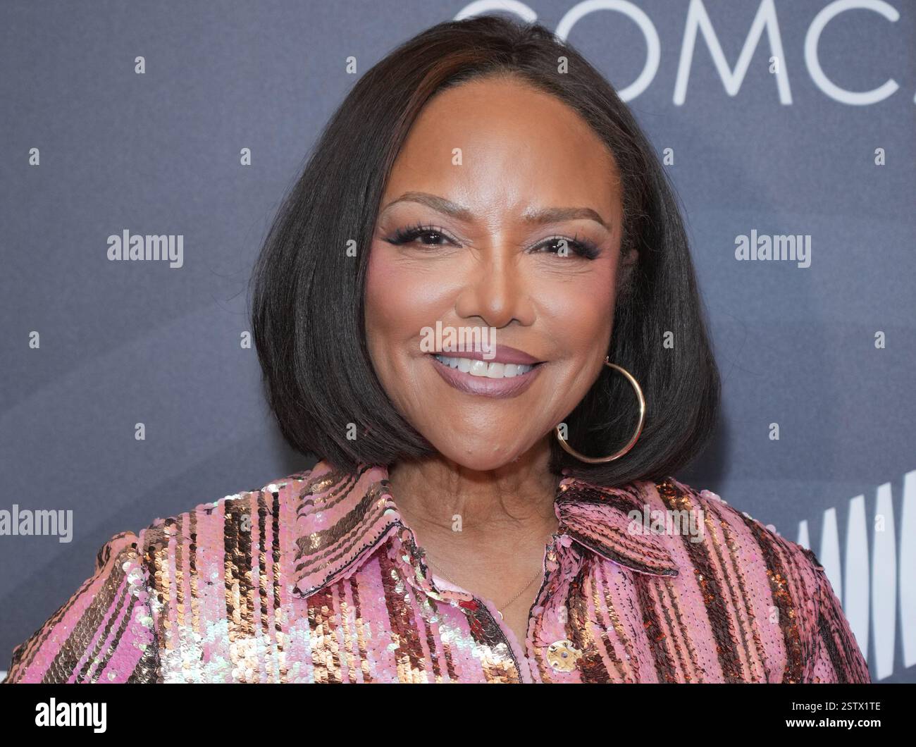 Los Angeles, USA. 19th Feb, 2025. Lynn Whitfield arrives at the 16th ...