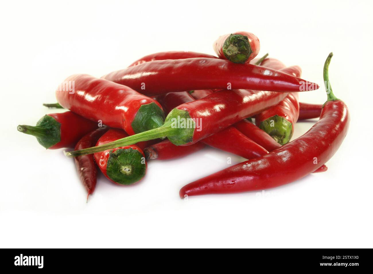Red chilli plants Cut Out Stock Images & Pictures - Alamy