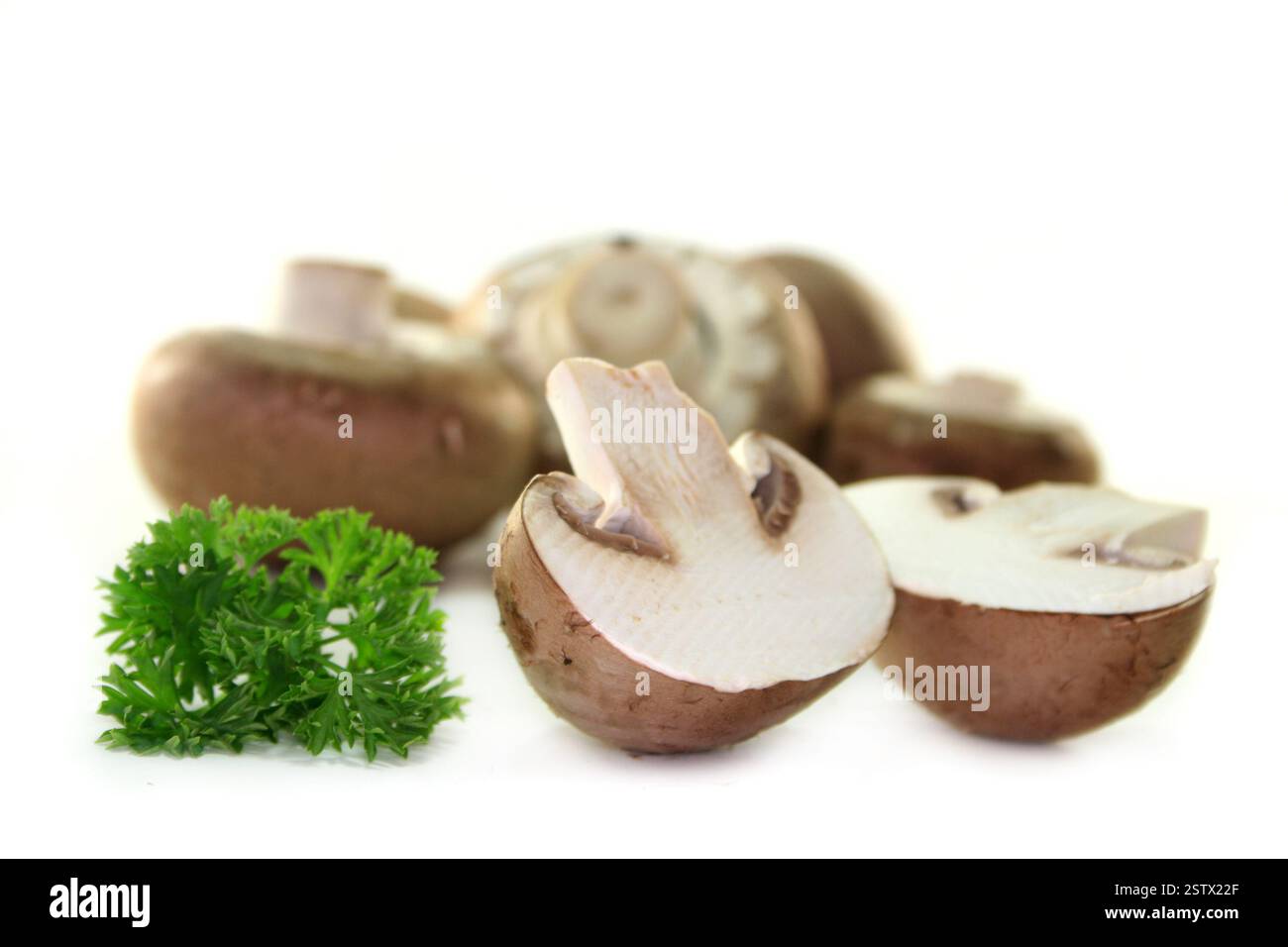 Mushroom herbs Cut Out Stock Images & Pictures - Alamy