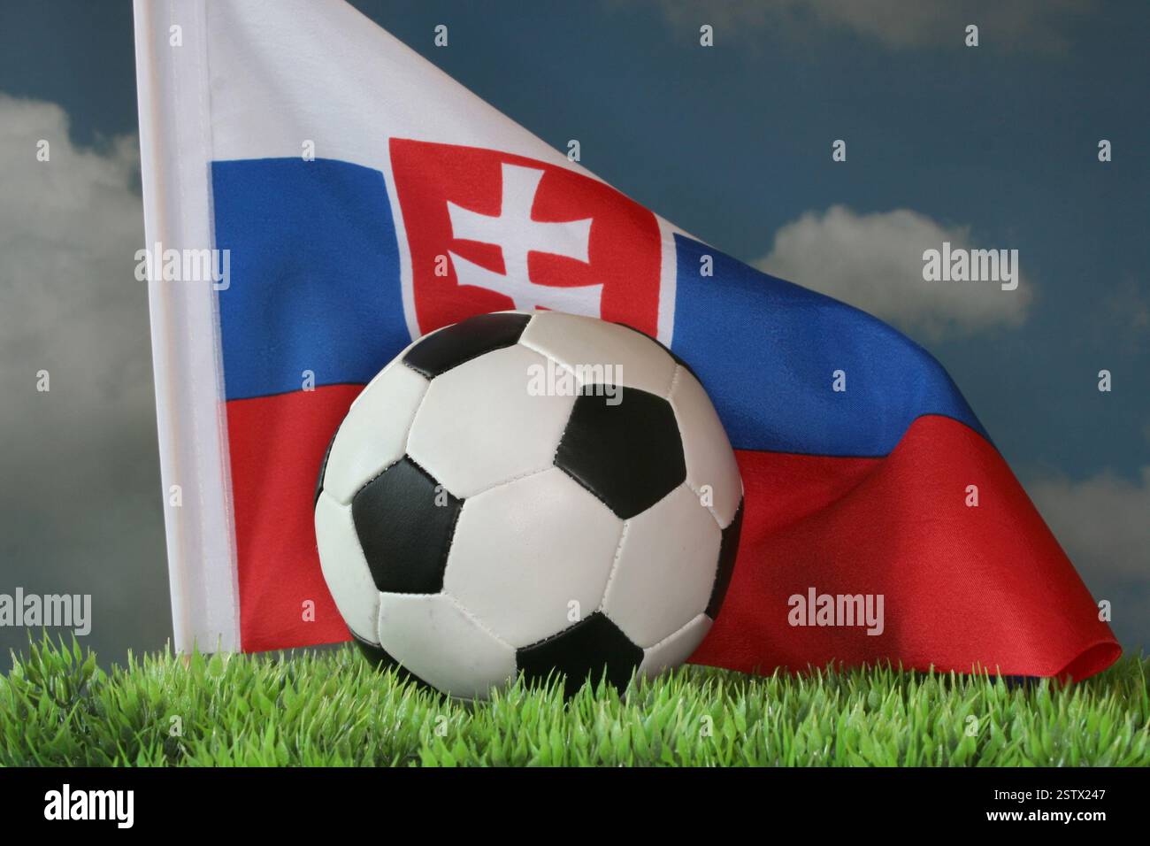 Slovakia world cup hi-res stock photography and images - Alamy